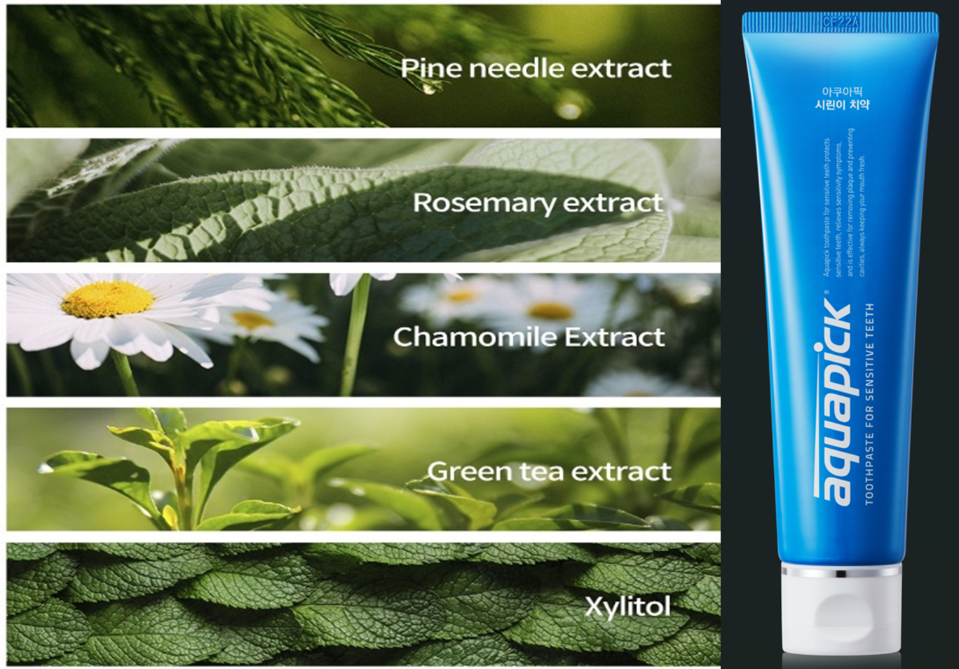Dentifrices | Aquapick EU